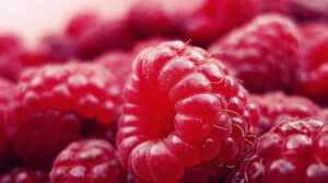 15 Major fruits in the German language to make your life sweet and ...