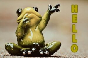 Dutch Greetings: How to Say Hello & Goodbye Like Natives - Learn ...